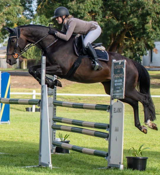 The Ups and Downs of Showjumping – Tacklet