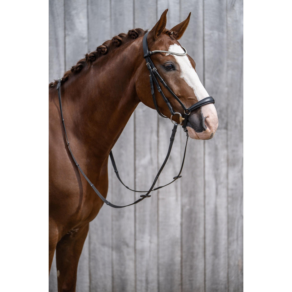 Nicole Bridle with Drop Noseband – Tacklet